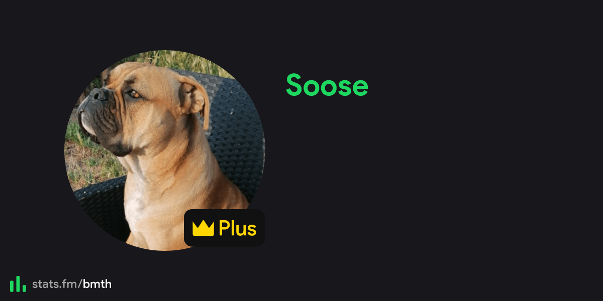 Soose's stats, streams and more | stats.fm