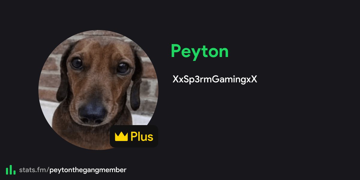 Peyton's stats, streams and more | stats.fm