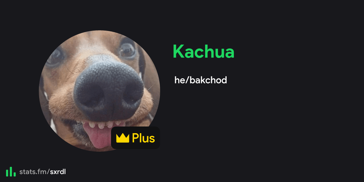Kachua's stats, streams and more | stats.fm